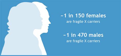 Fragile X Syndrome Resources For Prospective Parents Asuragen