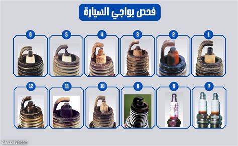 Contrarre Riparo Scorta افضل انواع البواجي Dialetto Eccezionale Curva