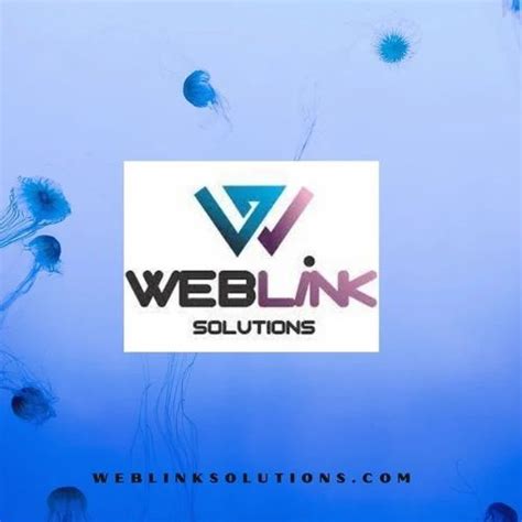 Weblink Solutions 45 Days Binary Plan MLM Software In Pan India At Rs 50000 In Hyderabad
