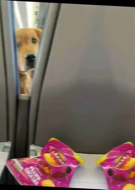 Best Flight Ever Album On Imgur