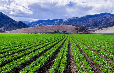 California Farming Beautiful Farmland On The Central Calif Flickr
