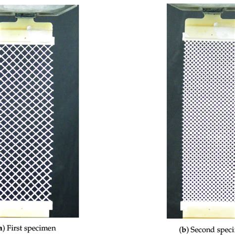 First Specimen Initial State Download Scientific Diagram