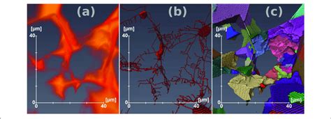 Steps Involved In The Generation Of Pore Network Models Shown Here Download Scientific