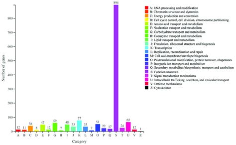 Cog Functional Classification Of Degs In Con Vs T11 The Kegg Download Scientific Diagram