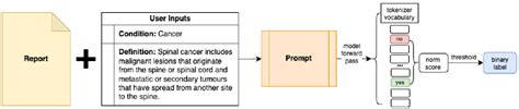 논문 리뷰 Automated Spinal Mri Labelling From Reports Using A Large
