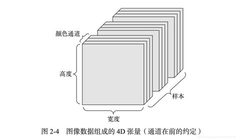 【深度学习基础】张量的描述与深度学习常见张量 Csdn博客 【深度学习基础】张量的描述与深度学习常见张量 Csdn博客