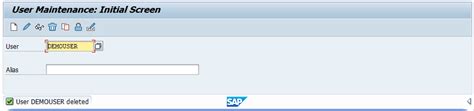 Sap Basis Delete User