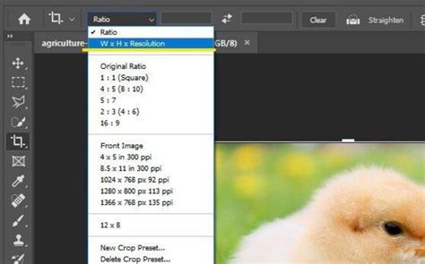 Steps To Resize Images Without Distortion