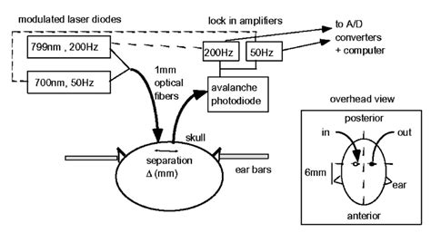 Continuous Wave Near Infrared Spectroscopy Using Pathlength Independent