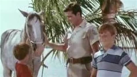 Flipper Tv Series 19641967 Episode List Imdb
