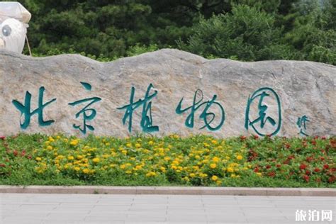2020北京植物园开放时间 北京植物园什么时候开园旅泊网