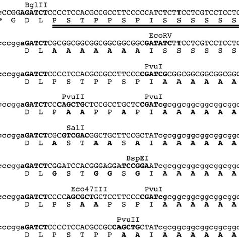 Nucleotide Sequences Encoding The Pest Sequence In The Expression Download Scientific Diagram