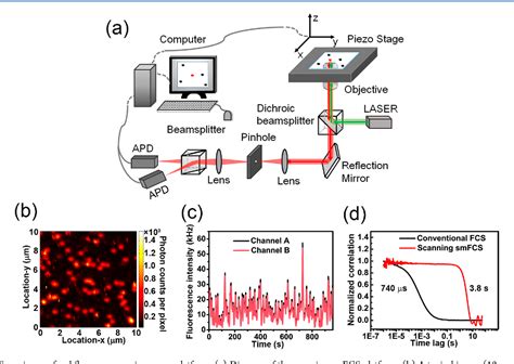 Figure 1 From Scanning Single Molecule Fluorescence Correlation Spectroscopy Enables Kinetics