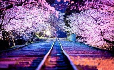 Java Gc回收算法 标记清除法、复制算法、标记压缩法、分代算法 知乎 Java Gc回收算法 标记清除法、复制算法、标记压缩法、分代算法 知乎