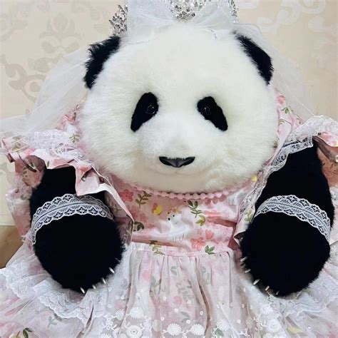 Princess Outfit Set For 6 Month Old Hehua Panda Panda Factory Shop