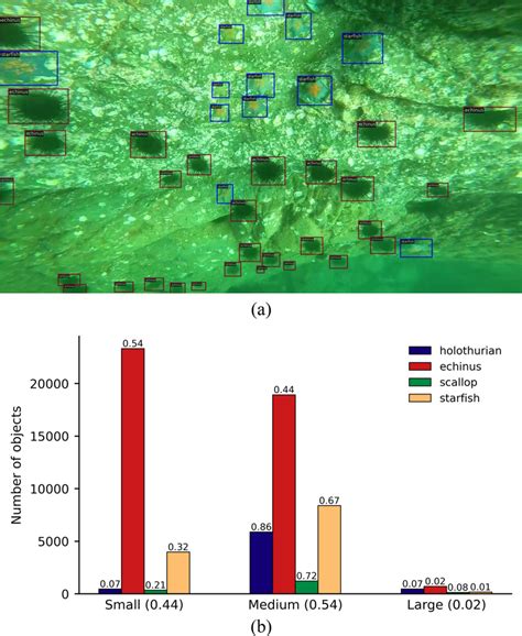 Dynamic Yolo For Small Underwater Object Detection Bohrium
