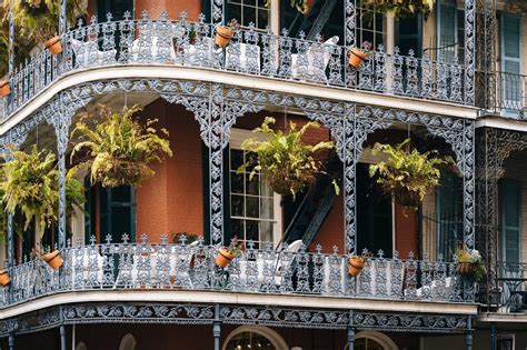 New Orleans Art Jackson Oaks Architecture Photography Wood Art Panels