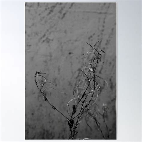 Black And White Dead Branch Poster Wall Art Modern Wall Decor For