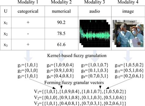 Multimodal Granular Representation Download Scientific Diagram