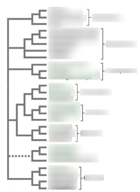 Midterm 1 Diagram Quizlet