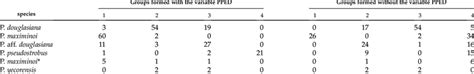 Comparison Between Clustering Criteria Clustering With The K Means