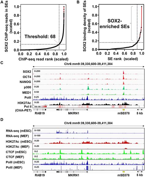 Identification Of Sox2 Enriched Ses And Genomic Analysis Near Mkrn1