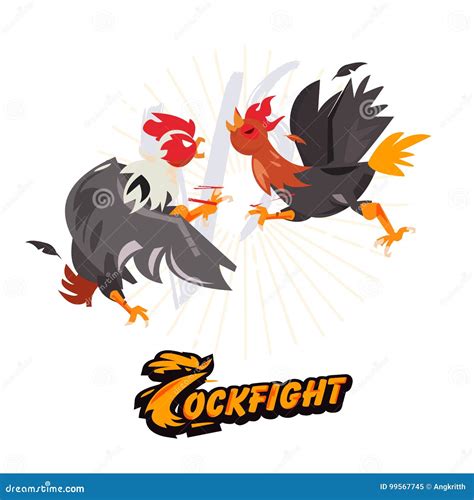 cockfighting character design come with typographic for infographic or header design vector