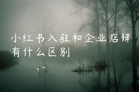 小红书入驻和企业店铺有什么区别贝淘网