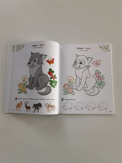 Розмальовки та завданняКольорові контури100 наклейокЛюбомі тварини