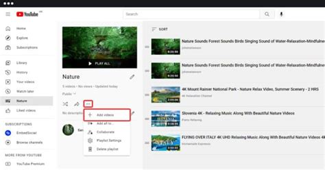 How To Embed Youtube Playlist On Any Website In 2025 EmbedSocial