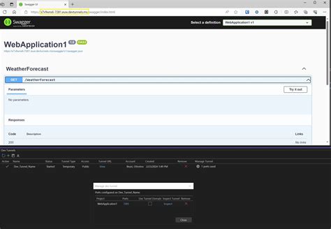 Using Dev Tunnels With Visual Studio For Web Apis Ottorino Bruni