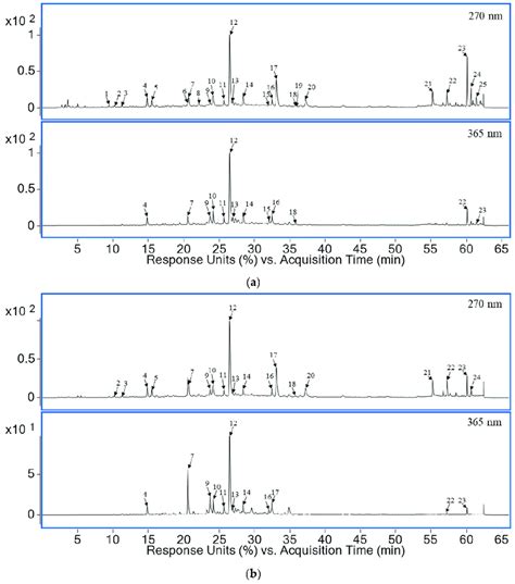 Uv Chromatograms Of A Opt 1 And B Opt 2 Extracts Obtained By Download Scientific Diagram
