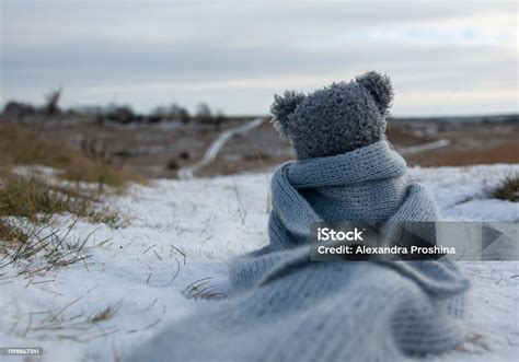 회색 테디 베어가 우리에게 등을 대고 앉아 길의 거리를 들여다봅니다 기대 외로움 슬픔 이별의 상징 고독 부정적인 감정 표현에 대한 스톡 사진 및 기타 이미지 Istock