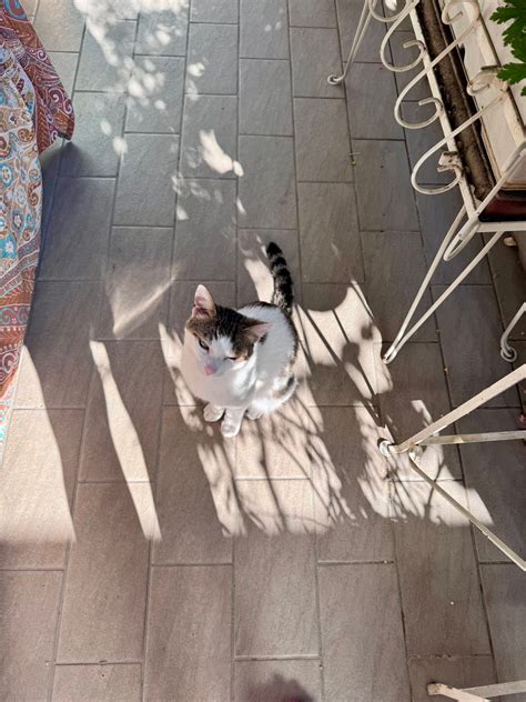 В Италия с Катерина Added A New Photo В Италия с Катерина