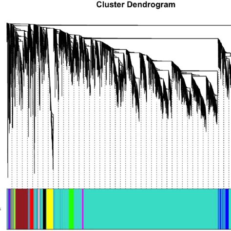 Cluster Dendrogram Of Gene Coexpression And Functional Modules Heatmap Download Scientific