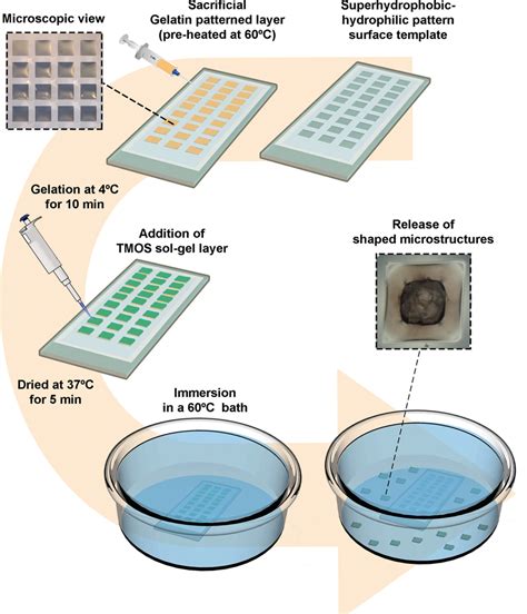Schematic Representation Of The Protocol To Produce Silica‐based Download Scientific Diagram