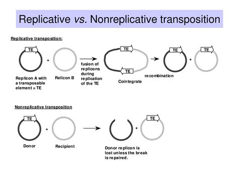 Ppt Transposition Powerpoint Presentation Free Download Id4206134 Ppt Transposition Powerpoint Presentation Free Download Id4206134