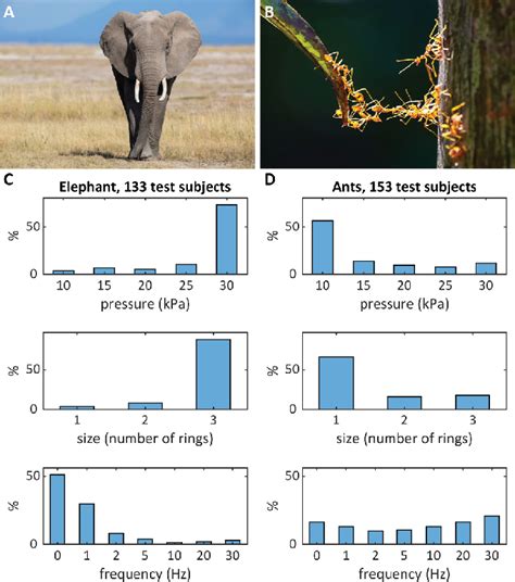 Figure 1 From A Large Area Soft Robotic Haptic Display Semantic Scholar