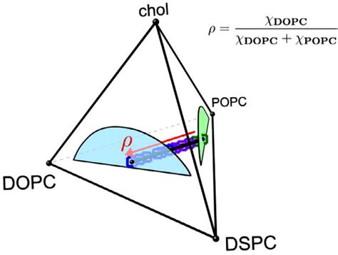 Dopc Cholesterol Phase Diagram Partial Phase Diagram Of Dspc