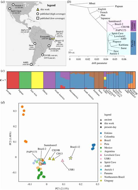 discovery of common asian copy number variants using integrated high