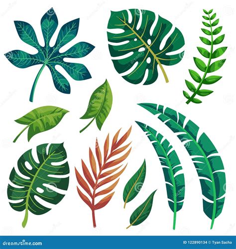 Trendy Summer Tropical Leaves Vector Design On White Background Stock
