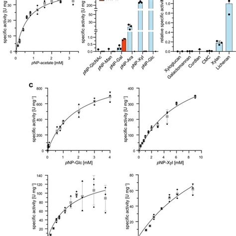 Biochemical Characterization Of Selected Identified Enzymes A