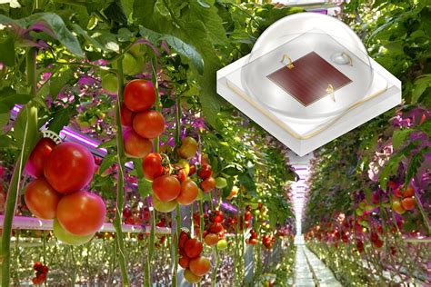 Osram Presents Most Efficient New Generation Oslon Square Hyper Red LED Professional LED