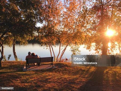 공원의 벤치에 앉아 호숫가의 아름다운 풍경을 즐기는 노부부 2명에 대한 스톡 사진 및 기타 이미지 2명 공원 공원 벤치 Istock