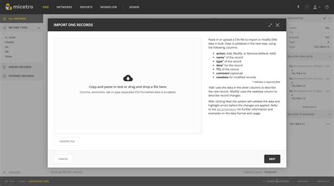 Import Dns Records — Micetro By Menandmice 105 Documentation