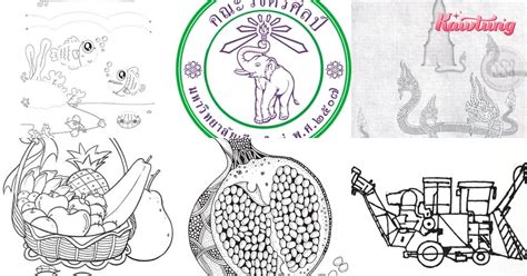 ภาพระบายสีเศรษฐกิจพอเพียงอนุบาล รวมข่าวสาระเกี่ยวกับ ภาพระบายสีเศรษฐกิจพอเพียงอนุบาล ติดตาม