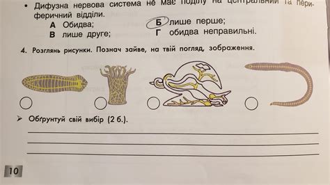 Помогите пожалуйста срочно Школьные Знания Com