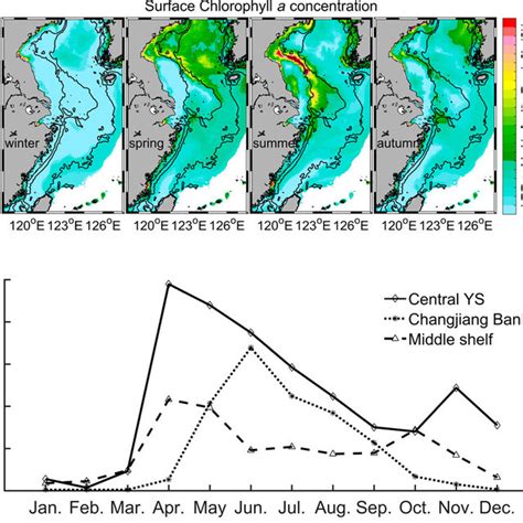 Chlorophyll A Concentration From The Reference Experiment A Spatial Download Scientific