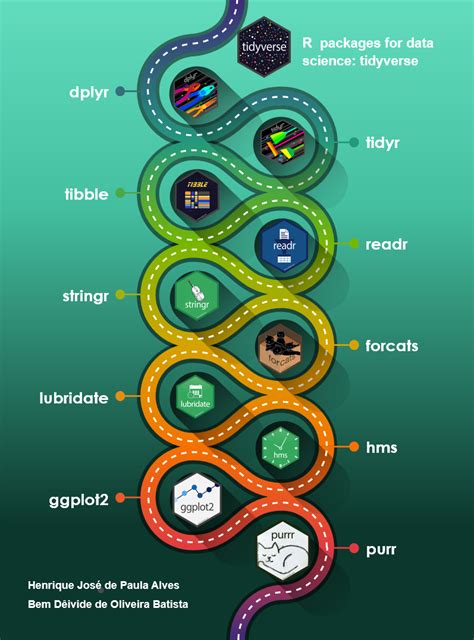 r packages for data science tidyverse