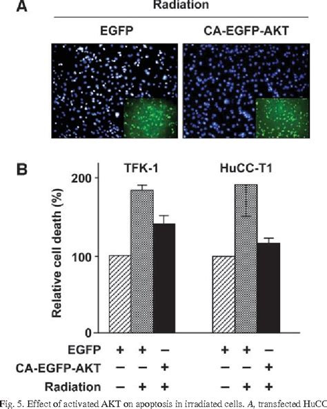 Follicular Atrophoderma And Basal Cell Epitheliomata Semantic Scholar